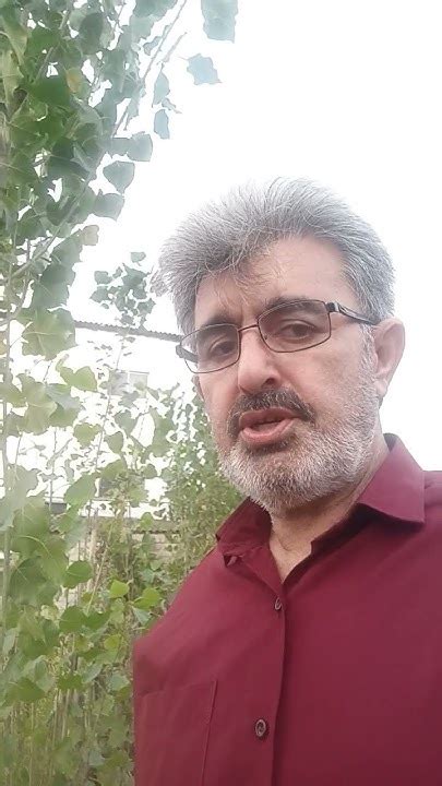 اموزش درخت صنوبر Youtube