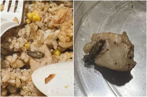 Man Finds Cockroach In Pepper Lunch Meal Ordered Online The Straits Times