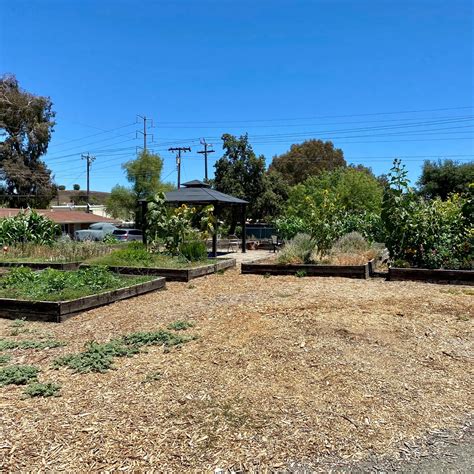 Lemuria Nursery Dixon Ca