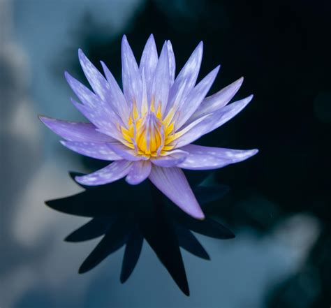 How Does Sin Affect Christians 3 Important Ways Swan Creek Baptist Church