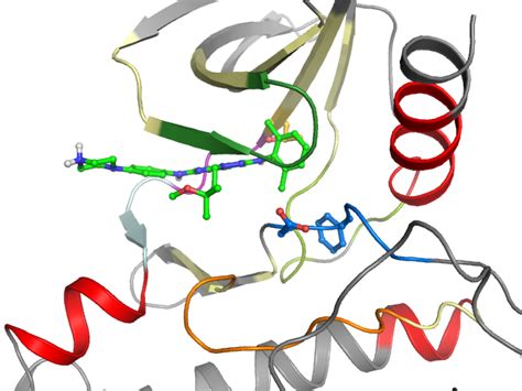 Klifs The Structural Kinase Database