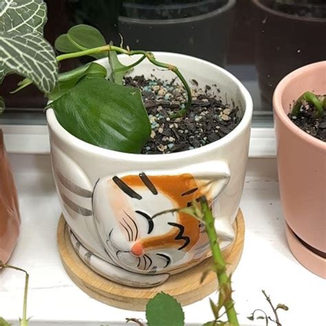 Leaf Erickson A Plant By Lordacajou On Greg