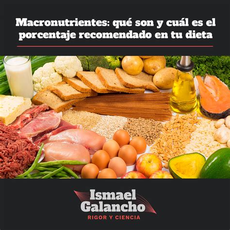 Macronutrientes Qué Son Y Cuál Es El Porcentaje Recomendado