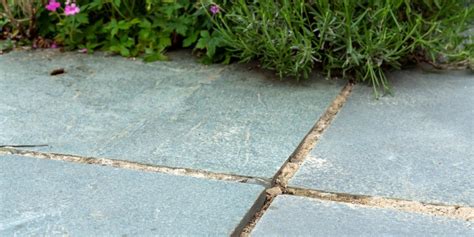 How To Fill Gaps In Flagstone Patio Grand River Natural Stone