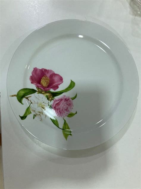 Pinggan Set Pinggan Dan Cawan 10pcs Baru Furniture And Home Living Kitchenware And Tableware