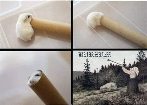 Spongebob Noooooo R Spongebob