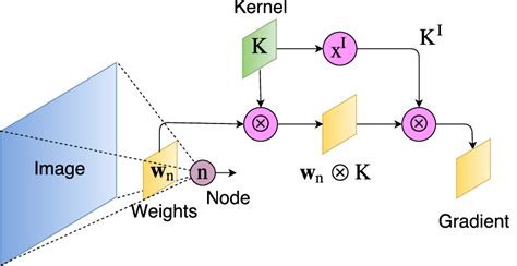 Computation Of Gradient For Visualization Loss ⊗ Denotes Convolution Download Scientific Diagram Computation Of Gradient For Visualization Loss ⊗ Denotes Convolution Download Scientific Diagram