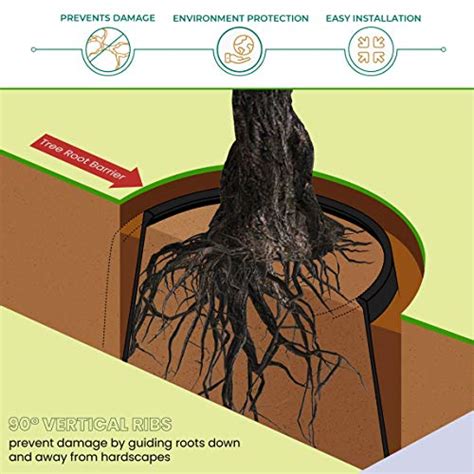 Best Type Of Root Barrier At Norman Nelson Blog