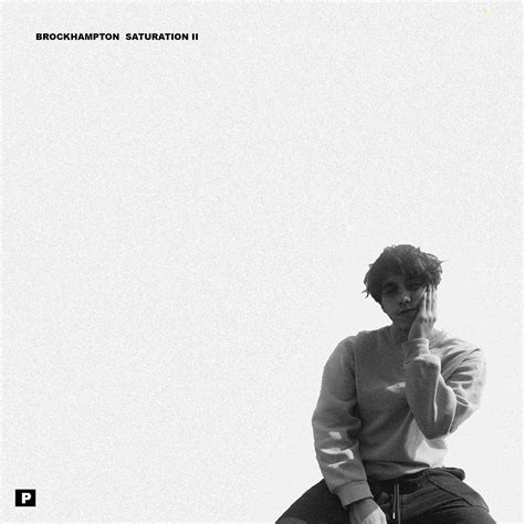 Alternate Saturation Ii Cover Art Rbrockhampton