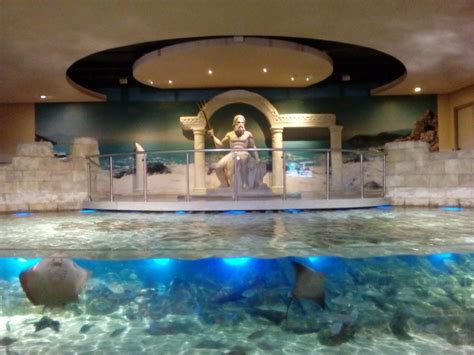 Istanbul Aquarium At Aqua Florya What To Do In Istanbul