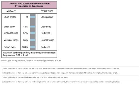Solved Based Upon The Figure Above Which Of The Following
