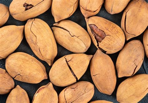 Premium Photo Pecan Nut In Shell