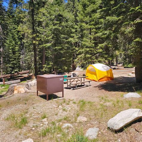 Great Basin National Park Camping Guide Park Ranger John