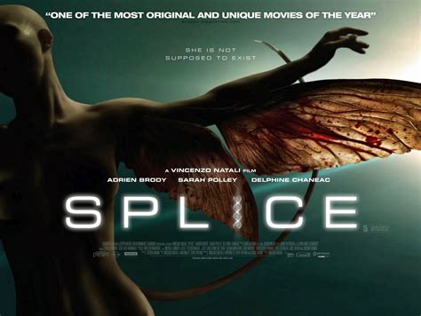Happyotter Splice 2009