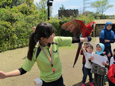 2016 Sekolah Republik Indonesia Tokyo Srit