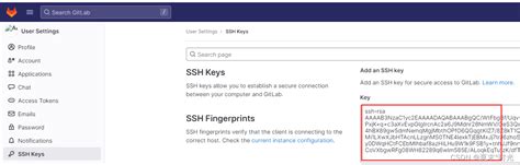 Docker中安装gitlab，并使用docker镜像安装git Csdn博客