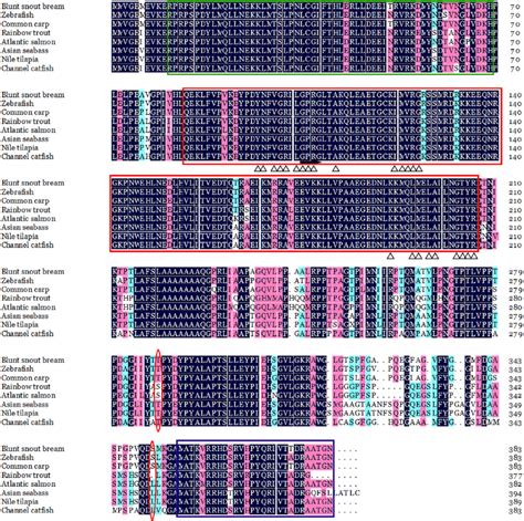 Clustalw Alignment Of The Deduced Aa Sequence Of The Qkia Protein