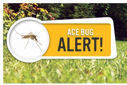 Mosquito Alert What You Need To Know Now Turner Ace Hardware