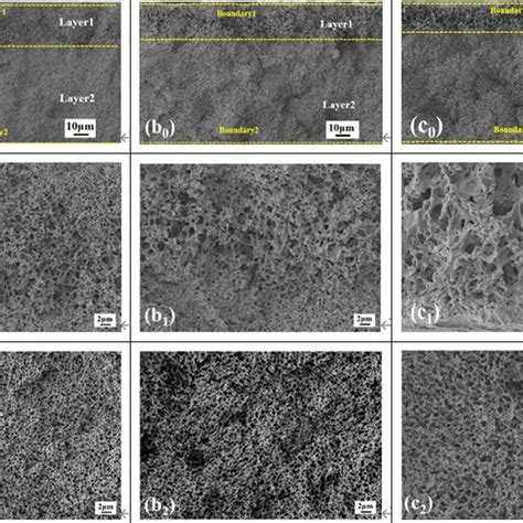 A Lsv Curves Of Peo Litfsi 15 Nbo And Peo Litfsi Electrolyte At A