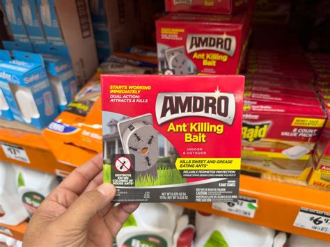 Creative Solutions For Ant Problems In Houseplants Gardeners And Plants