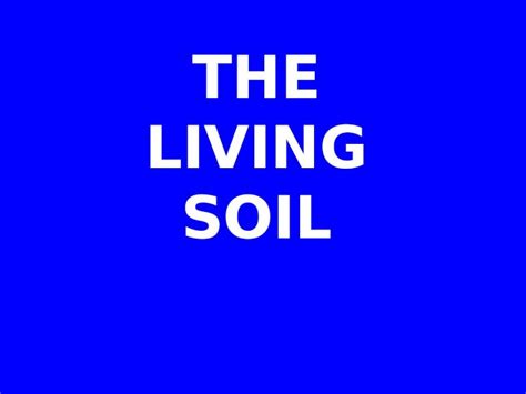 Ppt The Living Soil Functions Of Soil Support Plant Growth Regulate