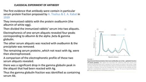 Antibody Structure Classification And Functions Ppt