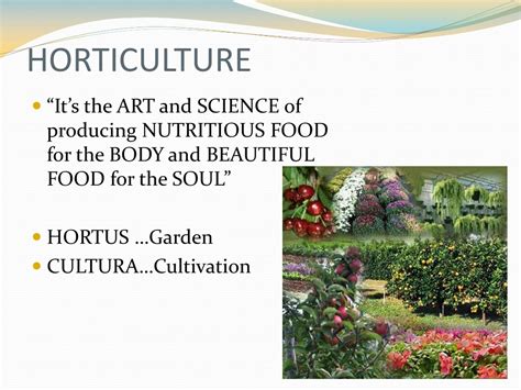 Ppt Horticulture Introduction Branches Importance And Classification