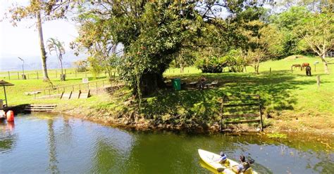 Disfrute De Sus Vacaciones En Fincas Las Glorias Rodeado De La Belleza