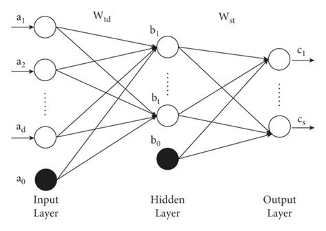 The Architecture Of Bp Mll Model Download Scientific Diagram