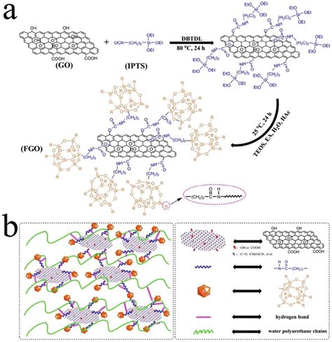 Graphical Representation For The Synthesis Of A Functionalized Go