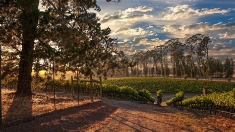 How The New Stanly Ranch Hotel Is Redefining The Napa Experience