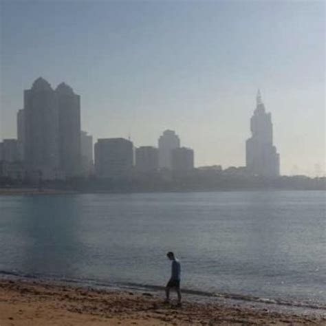 Why My Poly T Sequence Cannot Hybridize With Rna