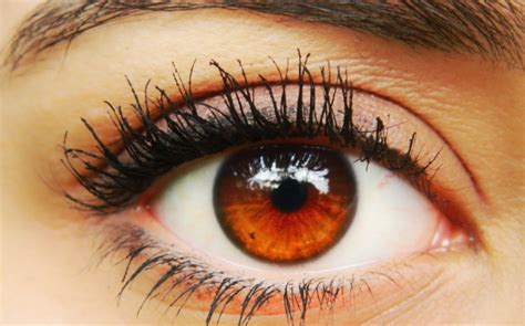 Amber Eyes Celebrities