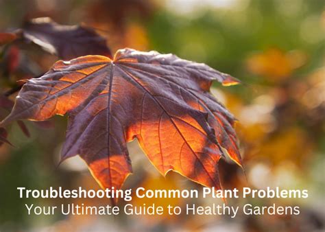 Troubleshooting Common Plant Problems Your Ultimate Guide To Healthy