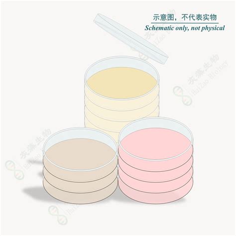 改良pyg液体培养基 Hzb875464 产品详情 灰藻生物