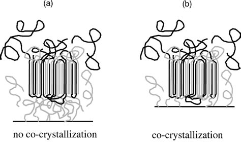 Schematics Of The Interfacial Coupling Between Grafted Chains And