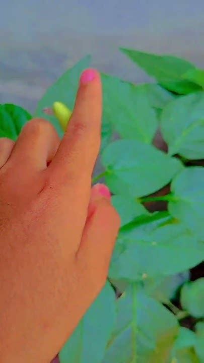 Astatic Astatic Youtube