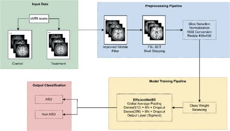 Detection Of Autism Using Structural Brain Mri With Improved Nimble