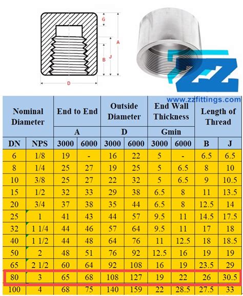 3 Threaded Cap Npt Class 6000 Astm A182 F316 Asme B1611 Zizi