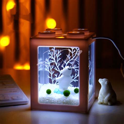 สินค้าพร้อมส่ง มาริโมะ Marimo Set L แถมฟรีอุปกรณ์ครบชุดพร้อมเลี้ยง Th