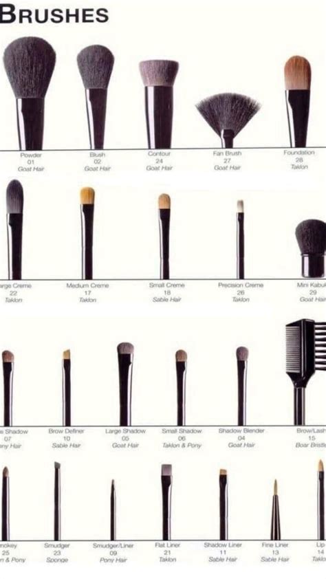 Makeup Brush Guide Artofit