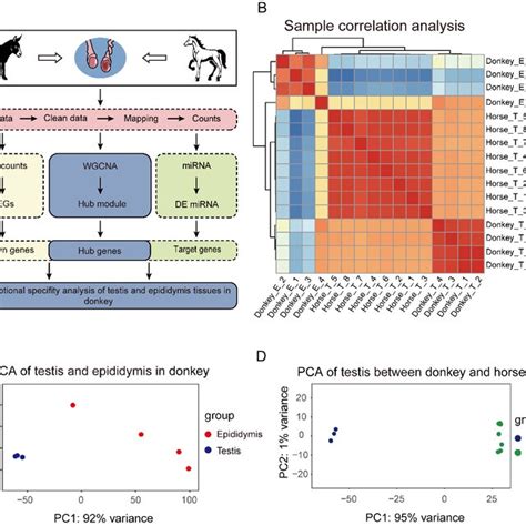 The Gene Expression Landscape Based On The Transcriptome Data Of Download Scientific Diagram