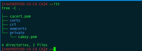 Openssl搭建私有CA认证 程序员大本营