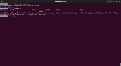 how to setup self managed gitlab with docker on local server