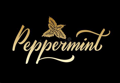 Peppermint Golden Handwritten Word On Black Background Stock Vector