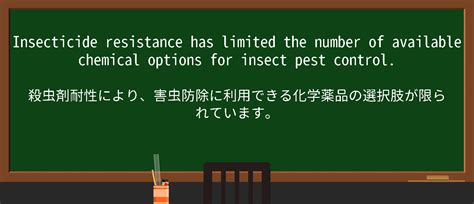 【英単語】insect Pest Controlを徹底解説！意味、使い方、例文、読み方