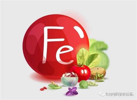 我们最熟悉的 铁”，有我们不熟知的重要作用~ 知乎