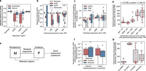 Gene Expression Control Using Generated Regulatory Dna Is Validated In Download Scientific