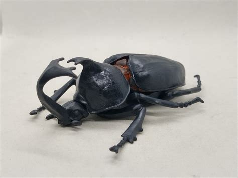 T Arts Insect Forest Beetle Festival Rhinoceros Beetle Kabuto Hobbies And Toys Toys