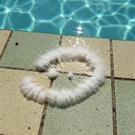 Troubleshooting And Solutions For Mysterious Particles In Your Pool